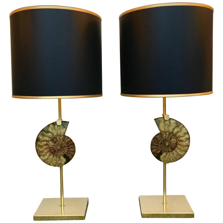 Pair of Lamps Brass Ammonite Fossil, Contemporary, Italy at 1stDibs