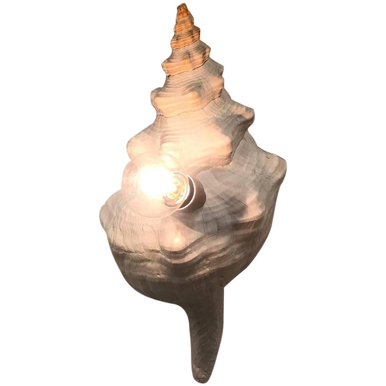 Horse Conch Seashell Sconce Lighting For Sale at 1stDibs