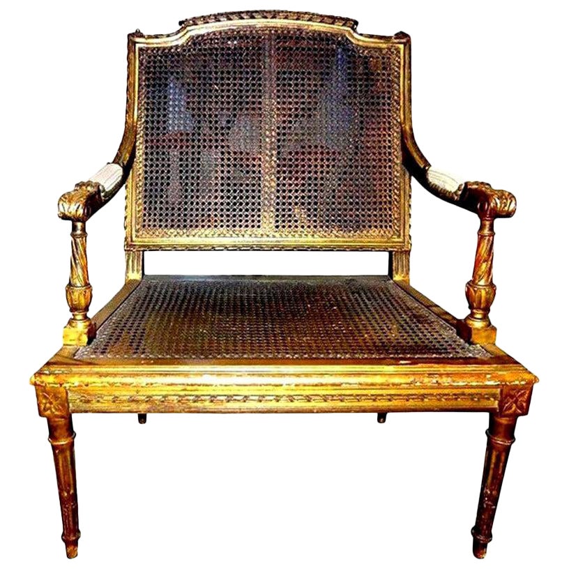 Mid-19th Century French Sedan Chair at 1stDibs