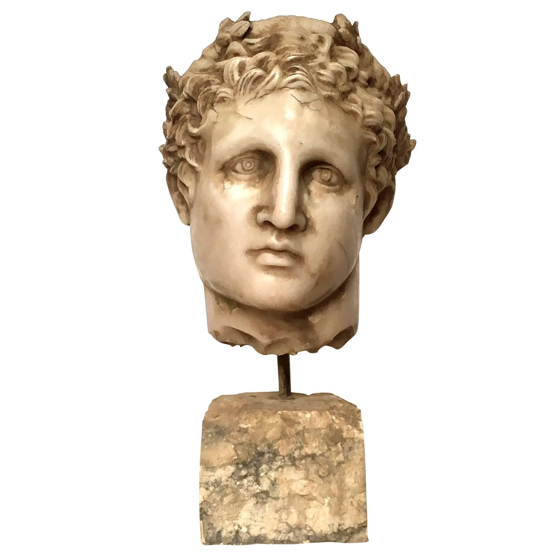 Classical Greek Busts - 45 For Sale at 1stdibs