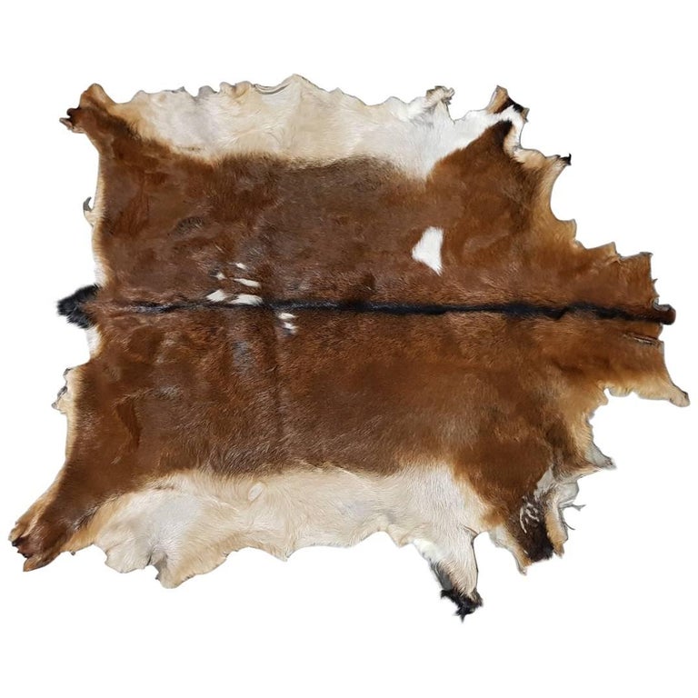 Vintage Goatskin Rug at 1stDibs