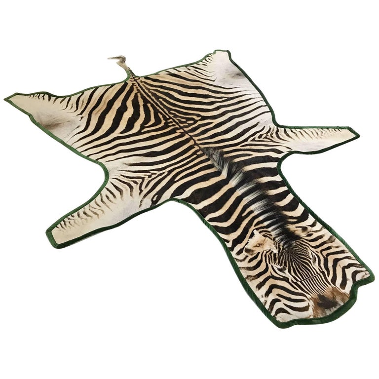 Forsyth Zebra Hide Rug Trimmed in Schumacher's Emerald Green Silk ...