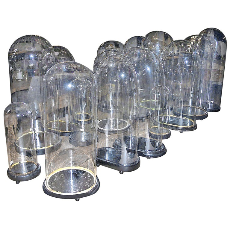 20th C. Glass Covers For Sale at 1stDibs