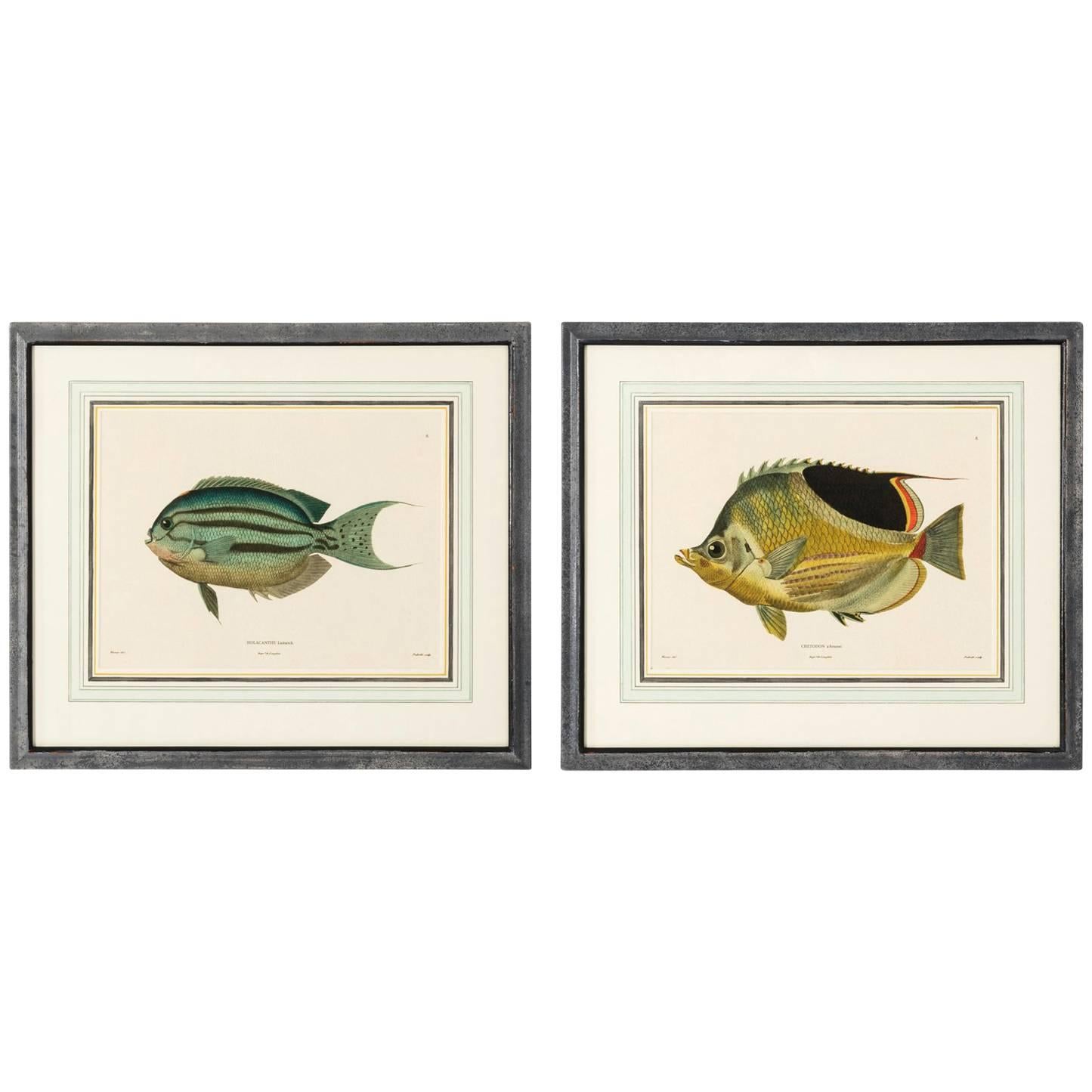 Pair of Fish Lithographs at 1stDibs