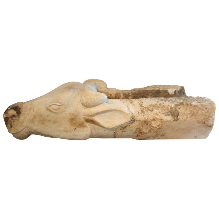 White Marble Bull head sculpture of Nandi. India, 17th - 18th Century ...