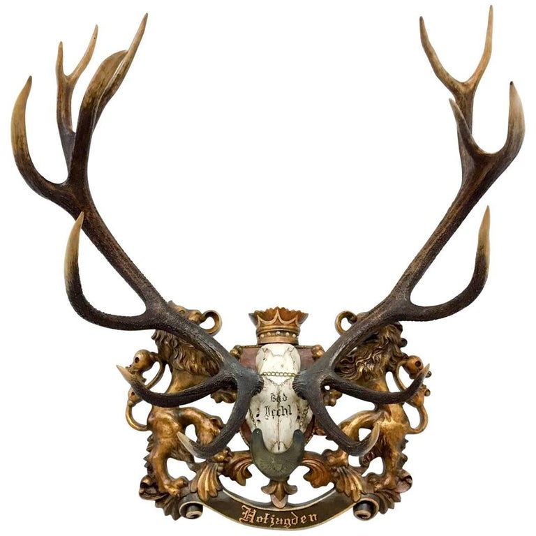 Austrian "Hofjagden" Red Stag Trophy with Habsburg Gorget and Veterans ...