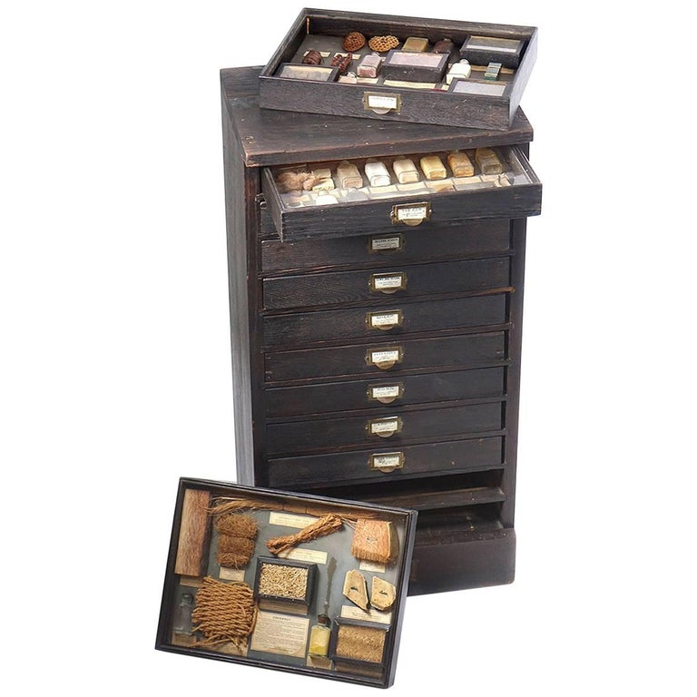 1800s Cabinet of Educational Collections at 1stDibs