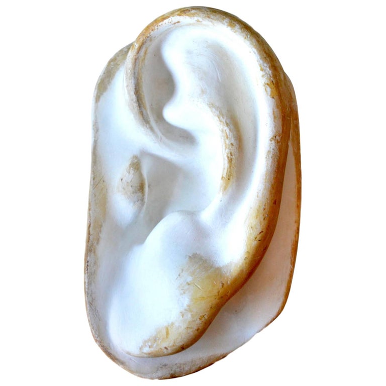 Sculptural Plaster Ear For Sale at 1stDibs