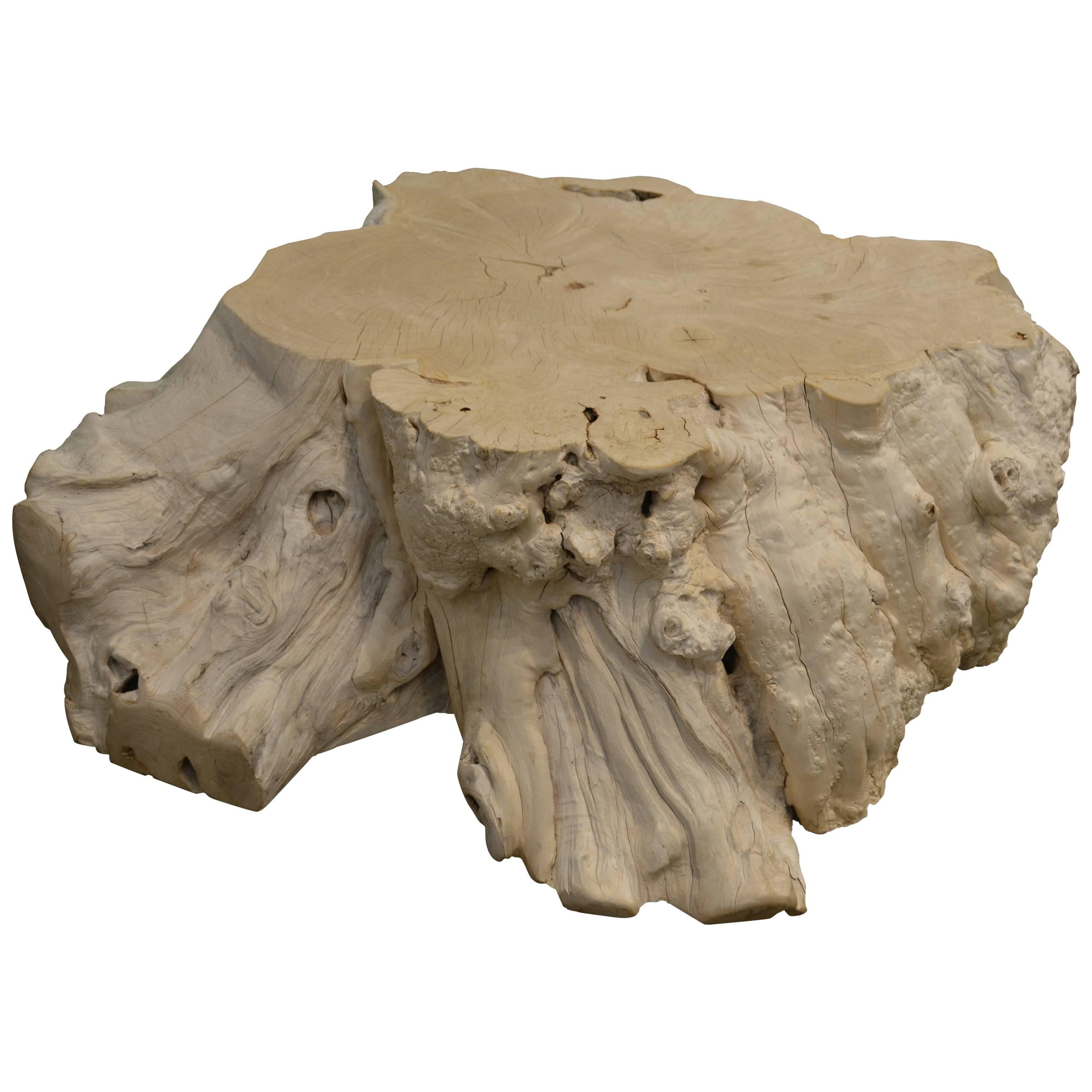 Andrianna Shamaris Bleached Teak Wood Root Coffee Table at 1stDibs ...