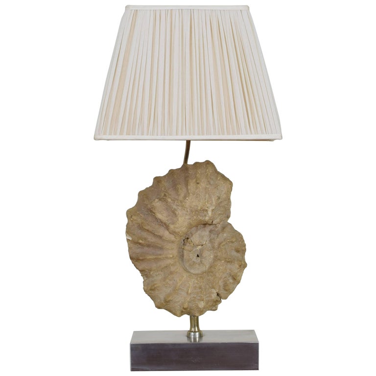 French Ammonite Fossil Mounted as a Table Lamp on a Brushed Steel Base ...