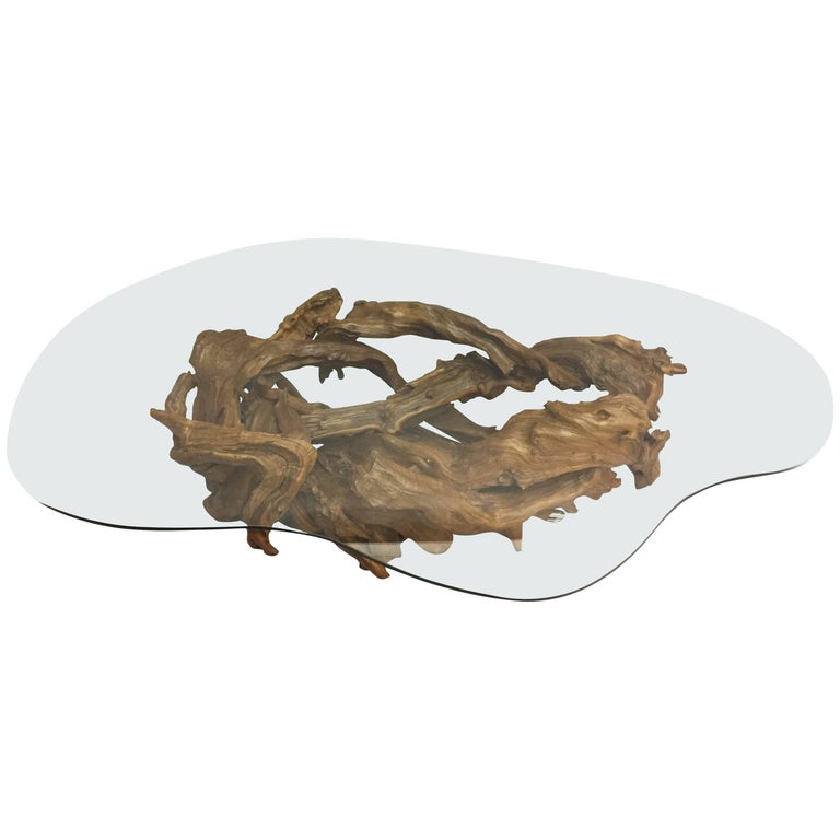 Organic Modern Amoeba Shaped Root Wood and Glass Coffee Table at 1stDibs