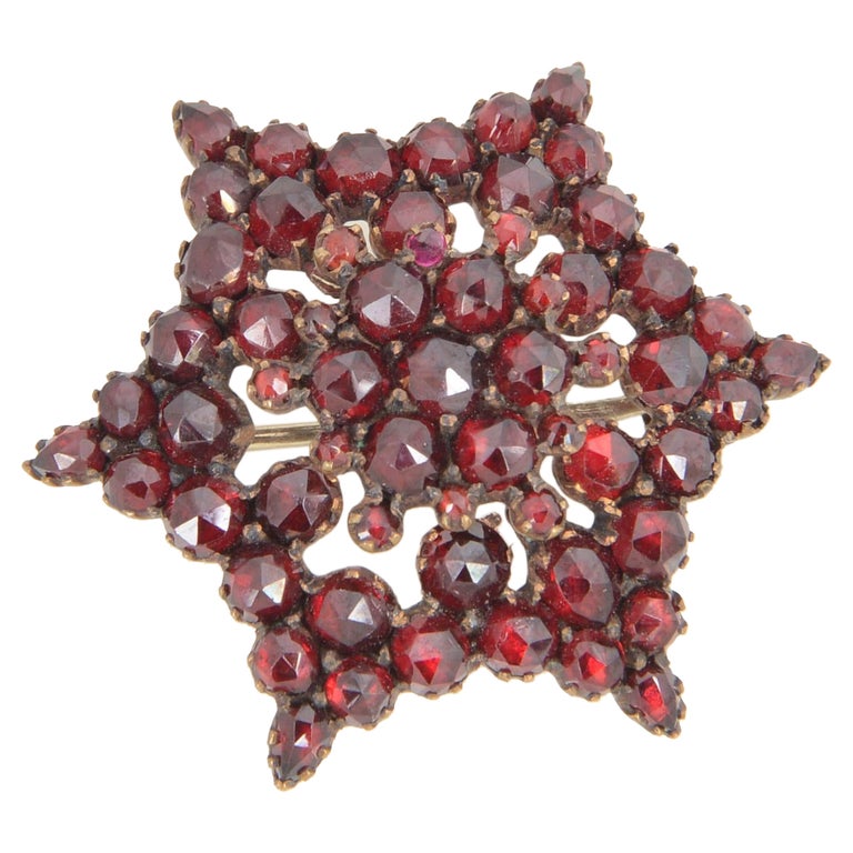 Antique Victorian Garnet Star Brooch For Sale at 1stDibs