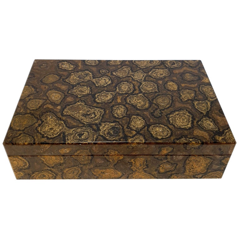 Brown Stromatolite Decorative Jewelry Gemstone Box with Black Marble ...