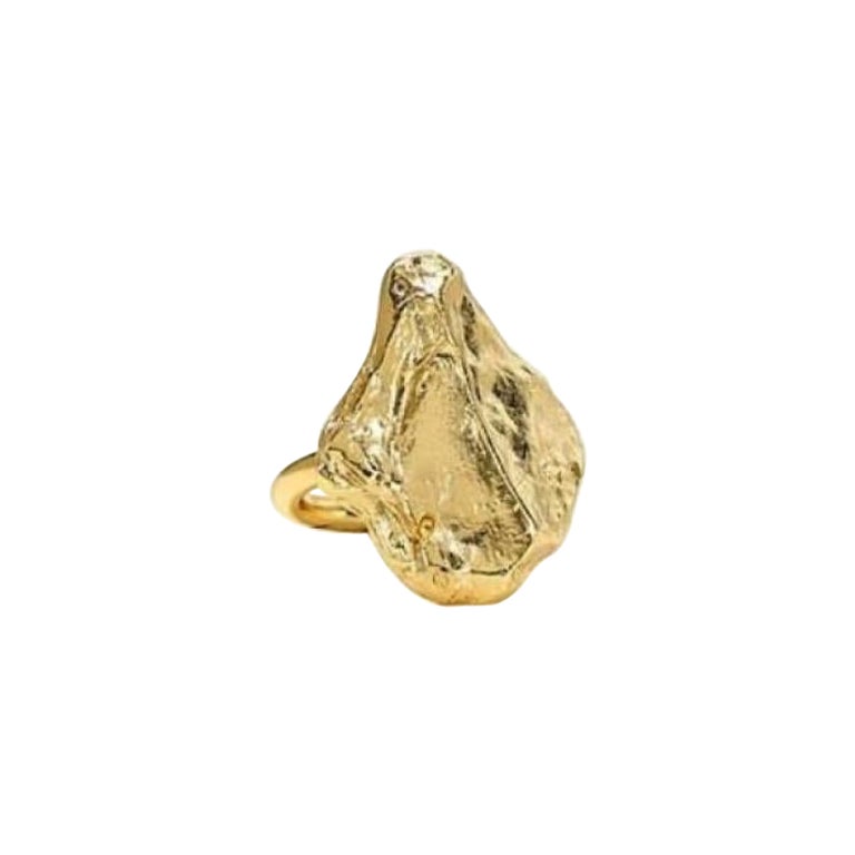 Spine Single Ring For Sale at 1stDibs
