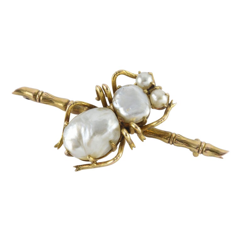 Art Nouveau Natural White Pearl Bug Brooch at 1stDibs