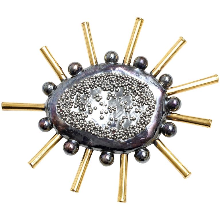 Magnetic Brooch at 1stDibs