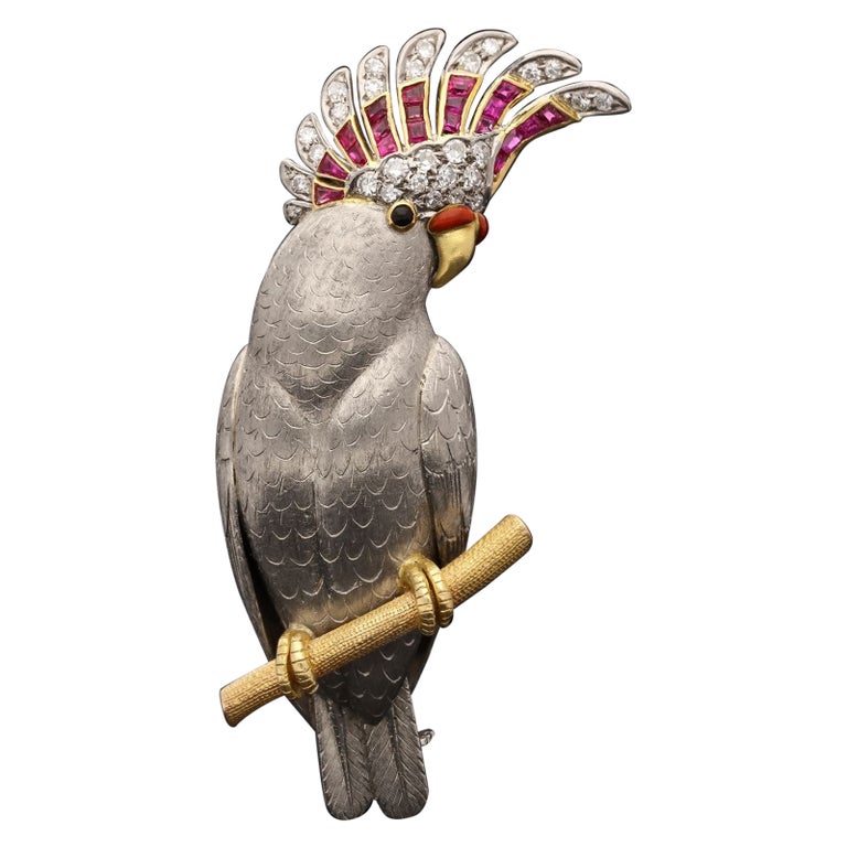 Garrard and Co Stunning Platinum Diamond And Ruby Cockatoo Brooch ...