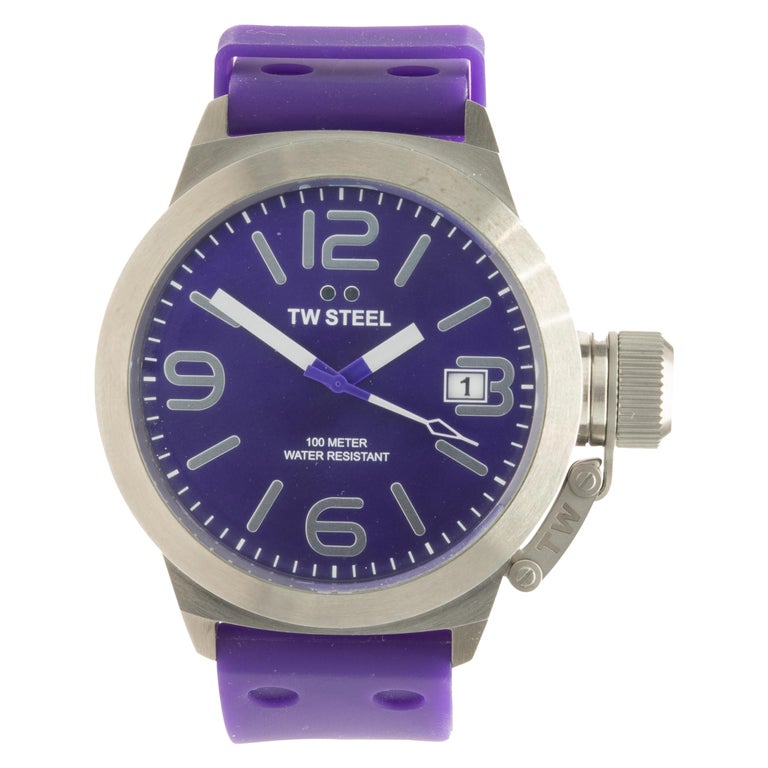 TW Steel Stainless Steel Purple Canteen at 1stDibs