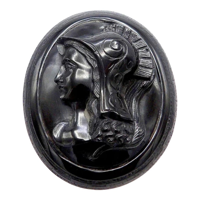 Victorian Whitby Jet and 14K Gold Pendant-Brooch with Warrior Cameo For ...