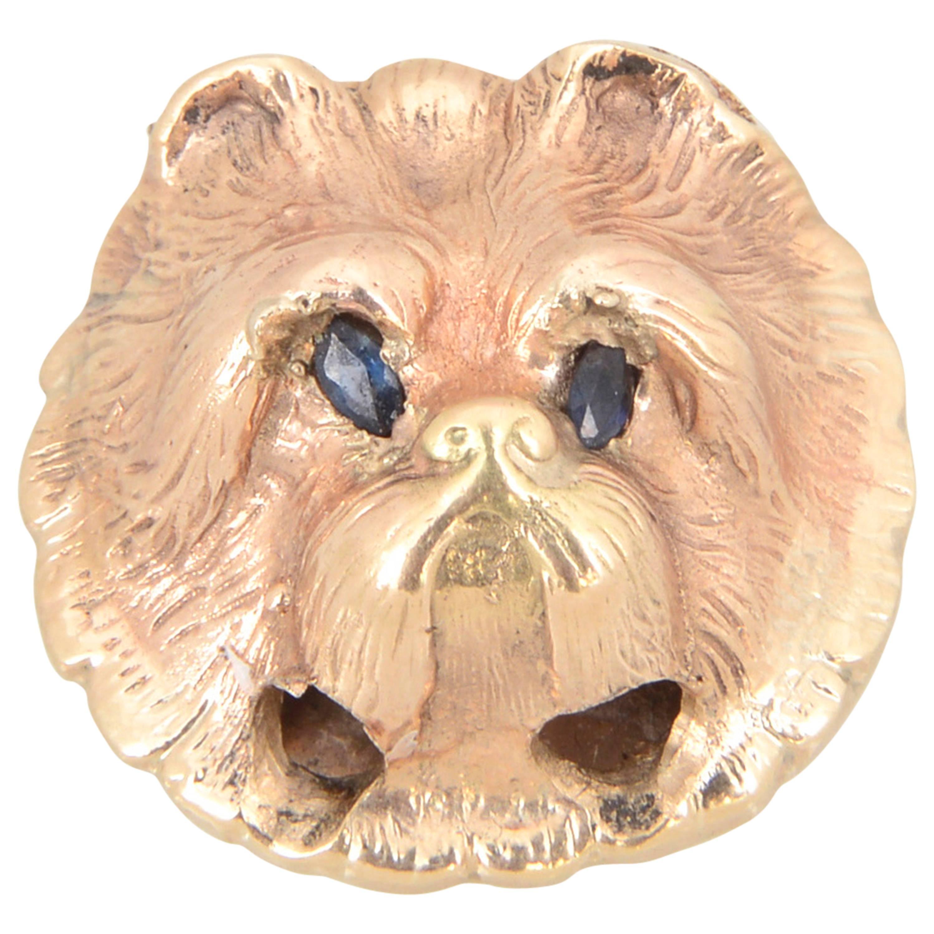 Victorian Sapphire Gold Dog's Head 'Yorkie or Maltese' Slide at 1stDibs ...