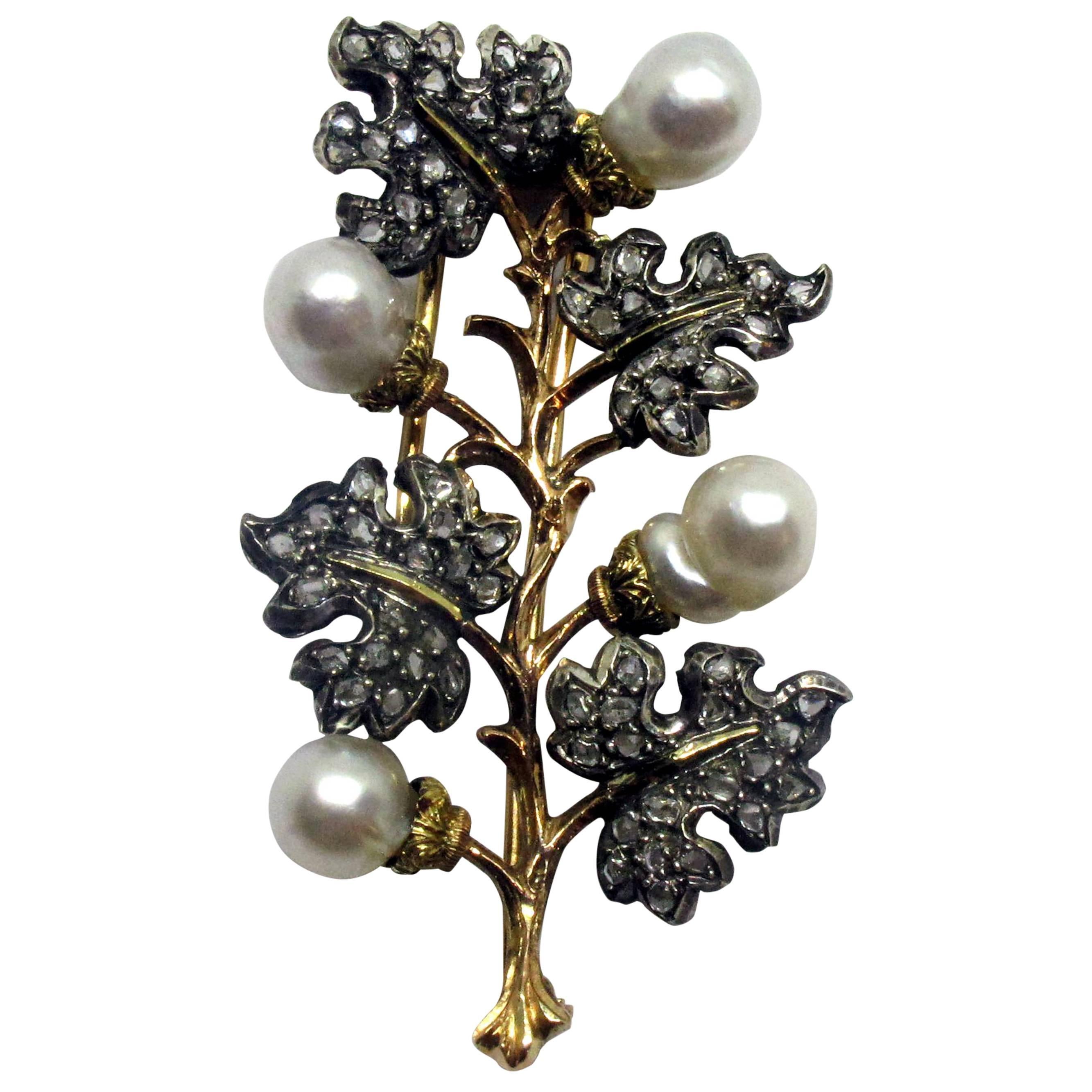 Buccellati Pearls Brooch - 6 For Sale on 1stDibs