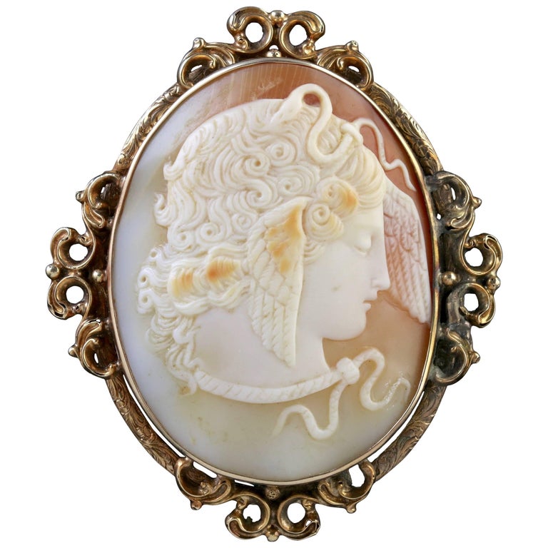 Antique Victorian Cameo Brooch Medusa 15 Carat Gold, circa 1860 at ...