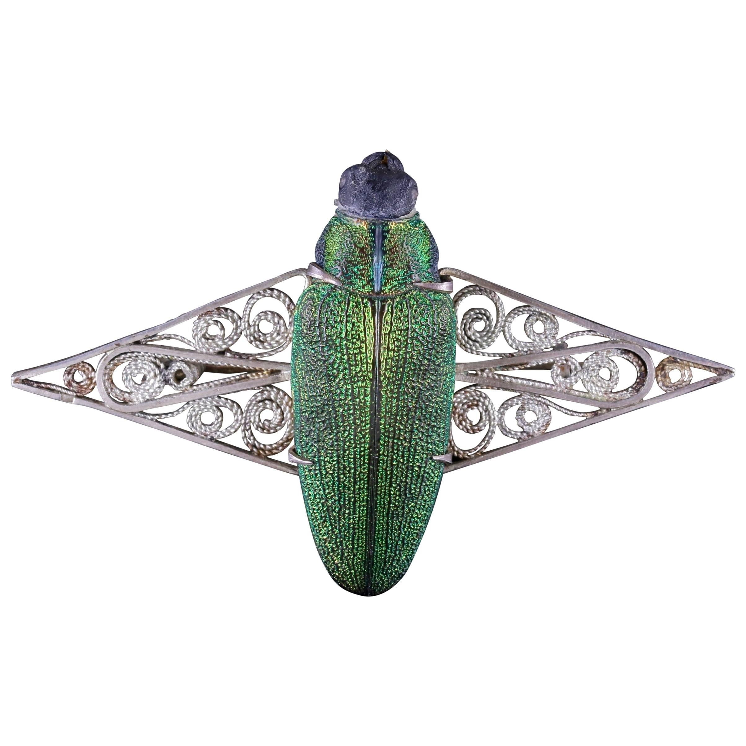 Antique French Scarab Beetle Brooch Art Nouveau, circa 1900 at 1stDibs