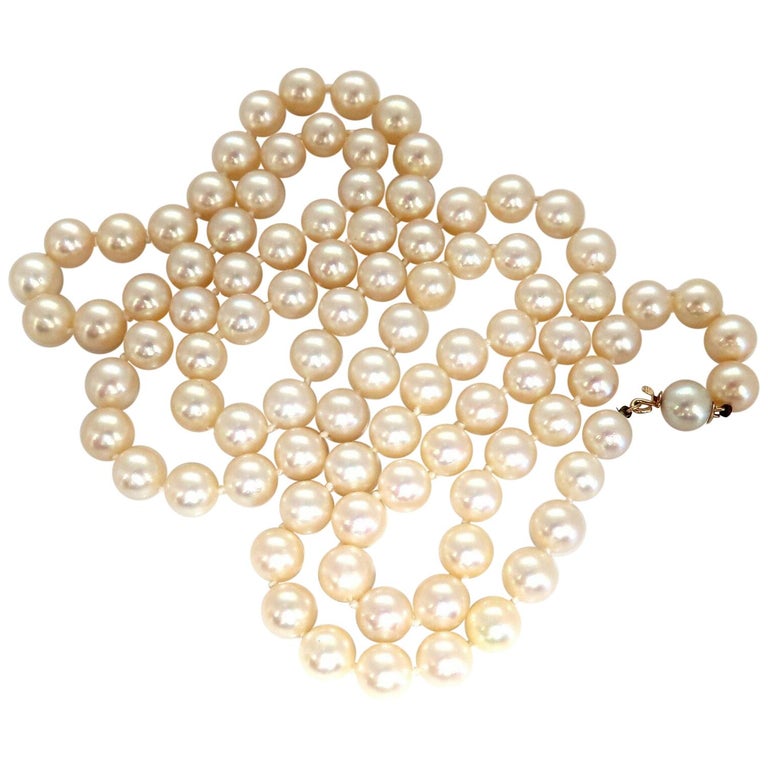 Natural Japanese Akoya Pearls Necklace 14 Karat at 1stDibs