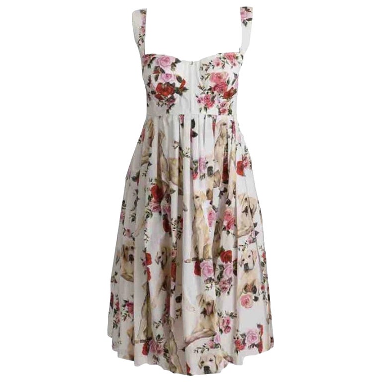 Dolce and Gabbana Empire Knee Length White Floral Labrador Printed ...
