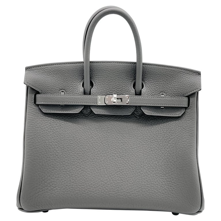Hermès Birkin 25 In Gris Meyer Togo. Palladium Hardware (PHW) 2022 at 1stDibs
