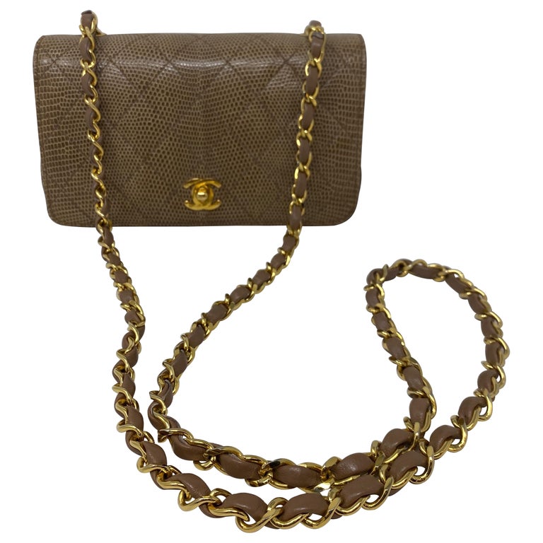 Chanel Exotic Snakeskin Mini Bag For Sale at 1stDibs