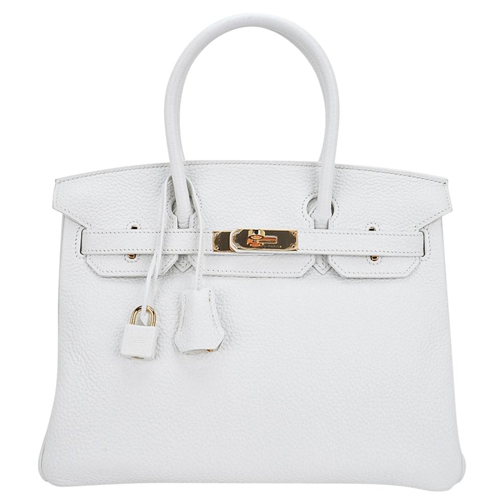 Hermes Birkin 25 Ultra Rare Metallic Silver Chevre Palladium Hardware ...