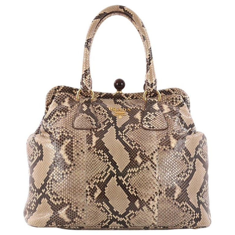 Prada Doctor Frame Bag Python Medium at 1stDibs
