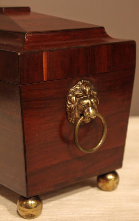 Rare Regency Tea Caddy Veneered in Sabicu Wood at 1stDibs
