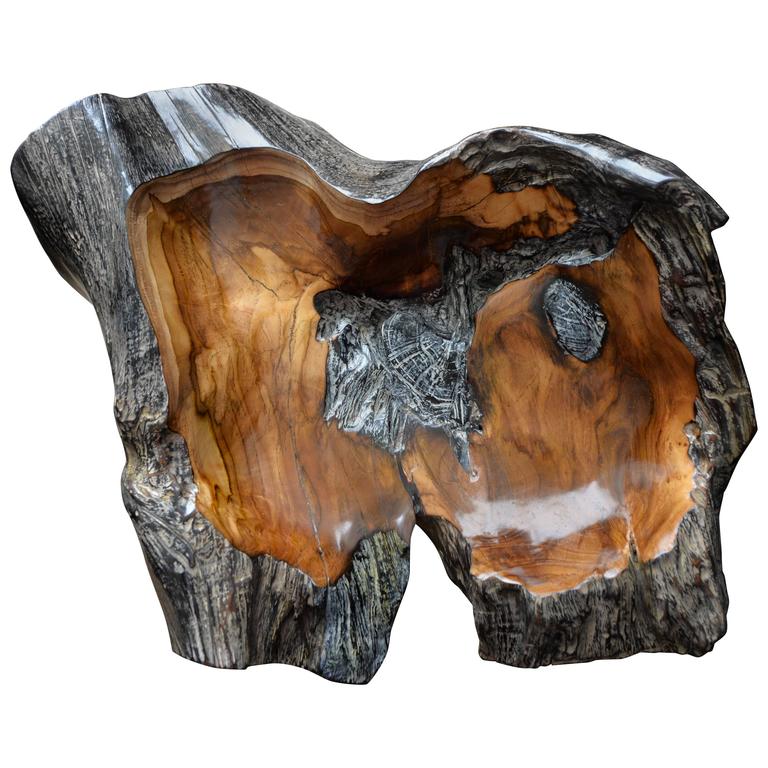 Large Teak Root Decorative Fruit Bowl Centrepiece Sculpture at 1stDibs