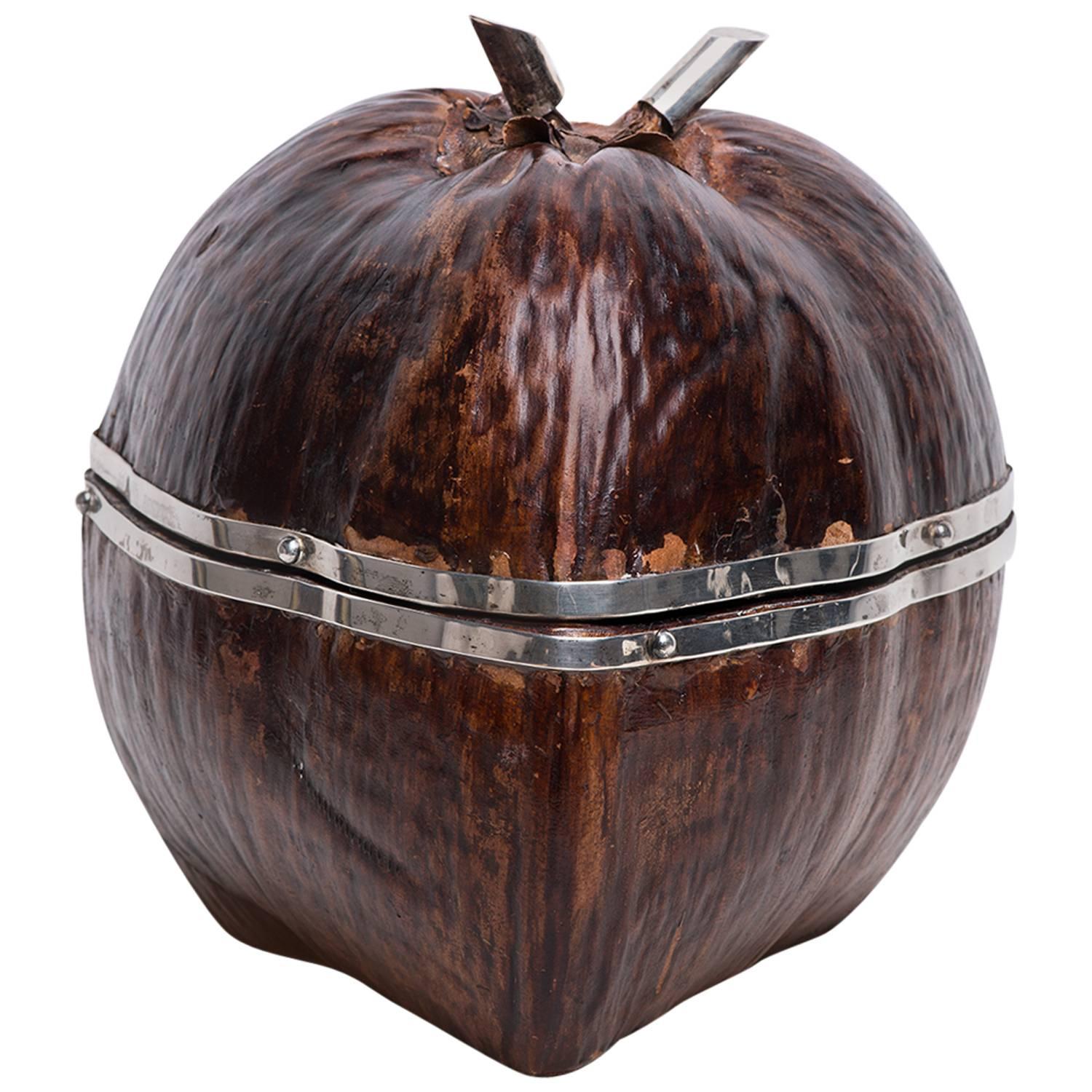Ice Bucket Coconut with Silver Border at 1stDibs | coconut ice bucket