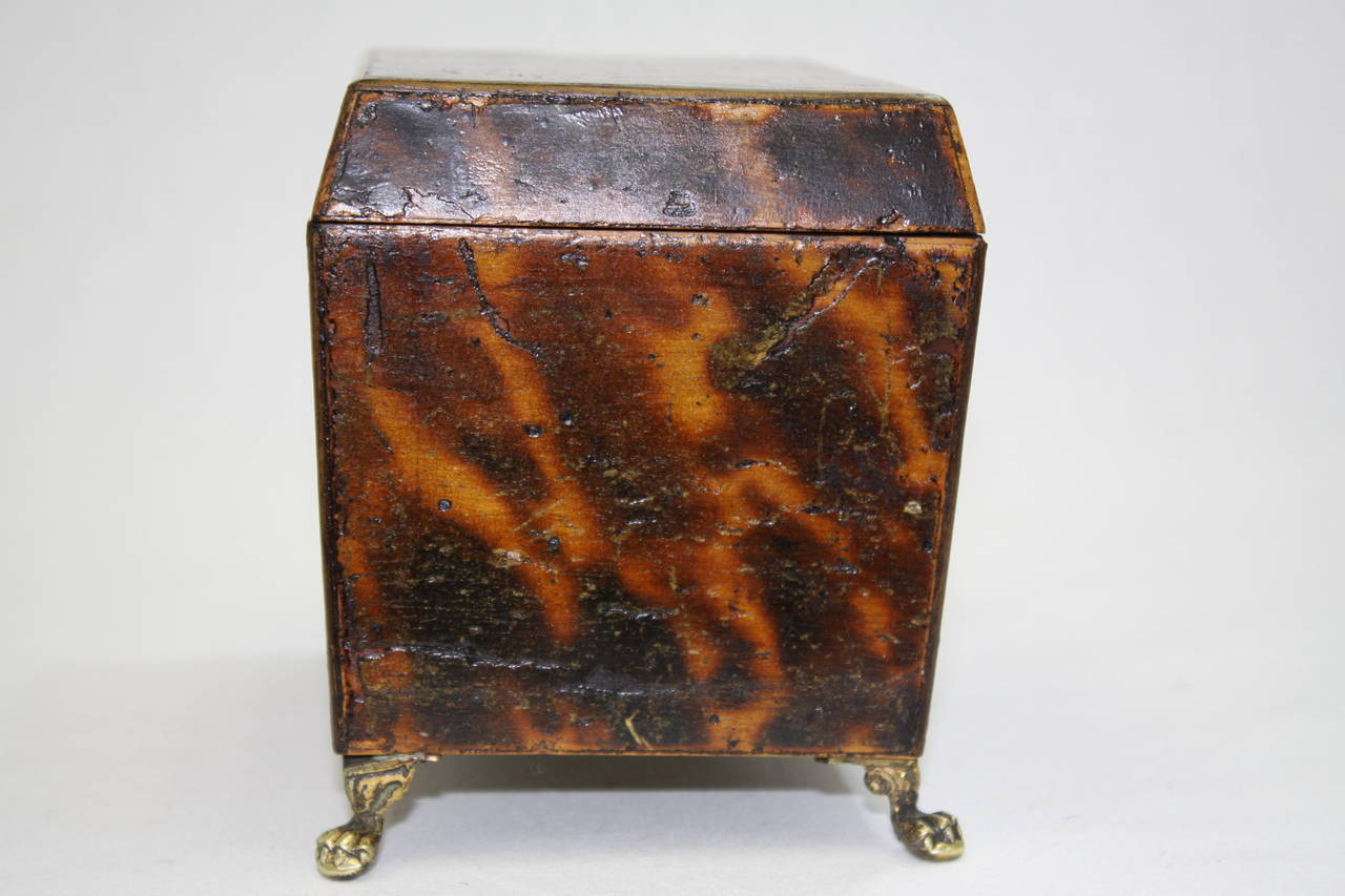 Early 19th Century Faux Tortoise Shell Tea Caddy at 1stDibs