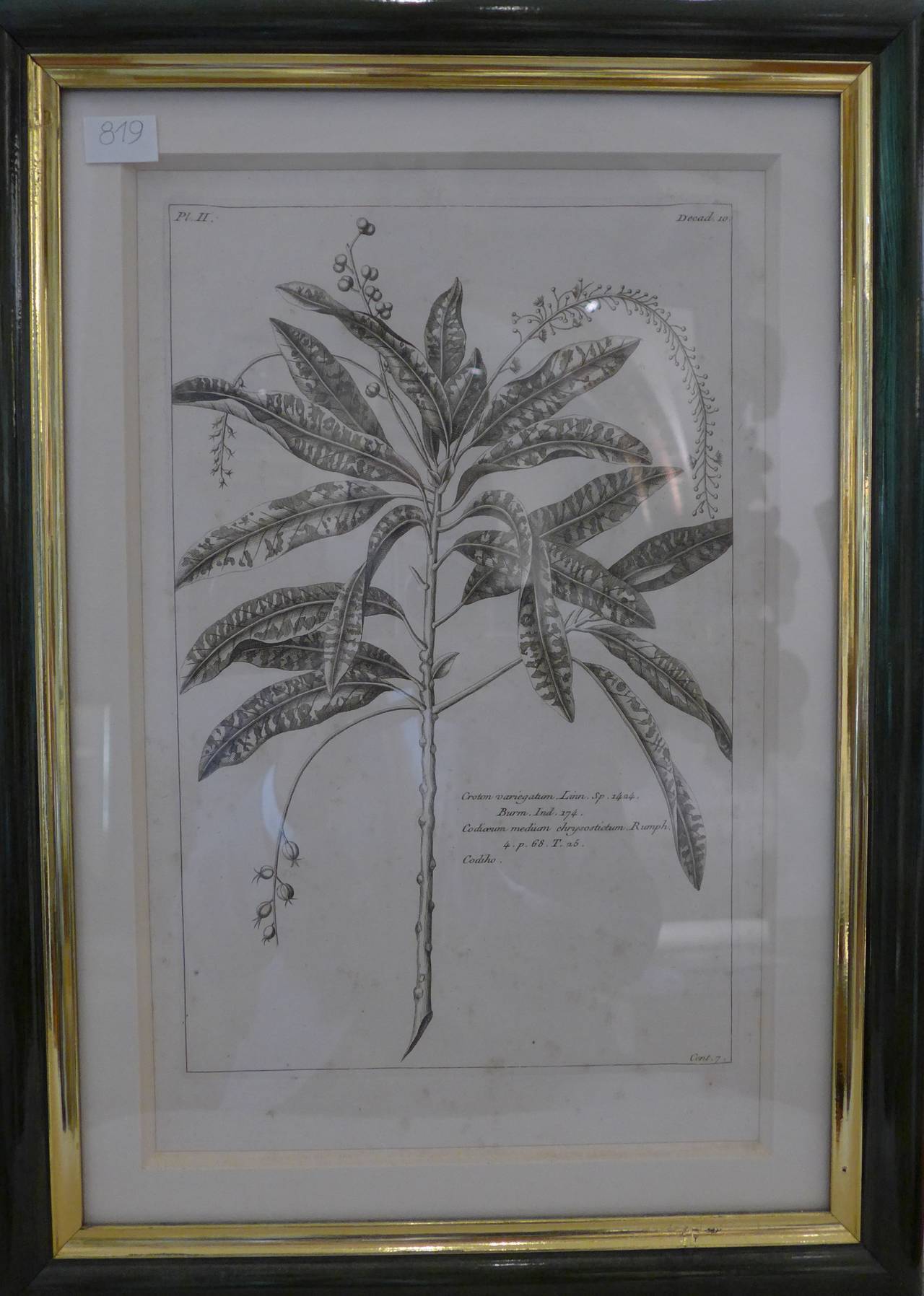 Set of Ten French Botanical Prints, 18th Century at 1stDibs