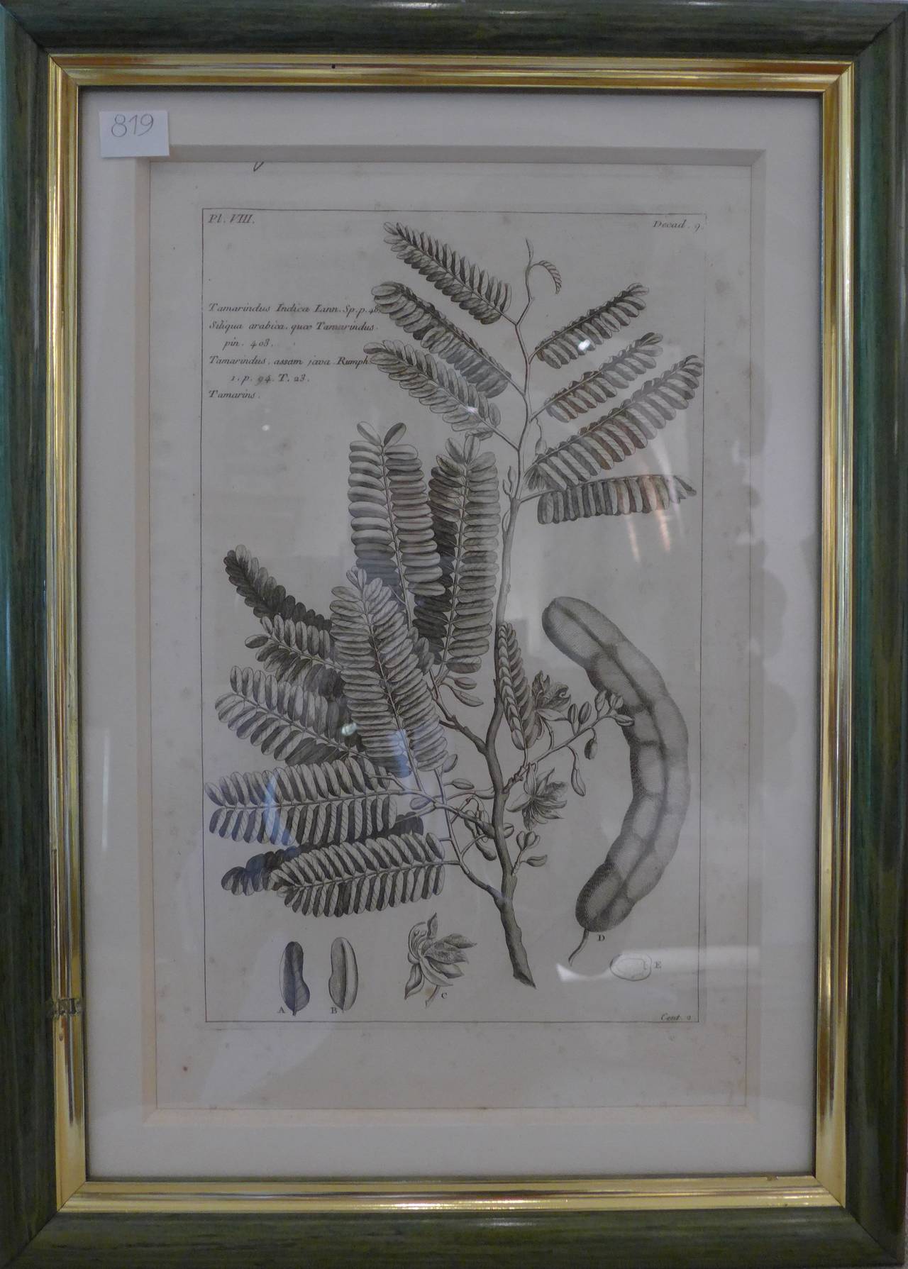 Set of Ten French Botanical Prints, 18th Century at 1stDibs