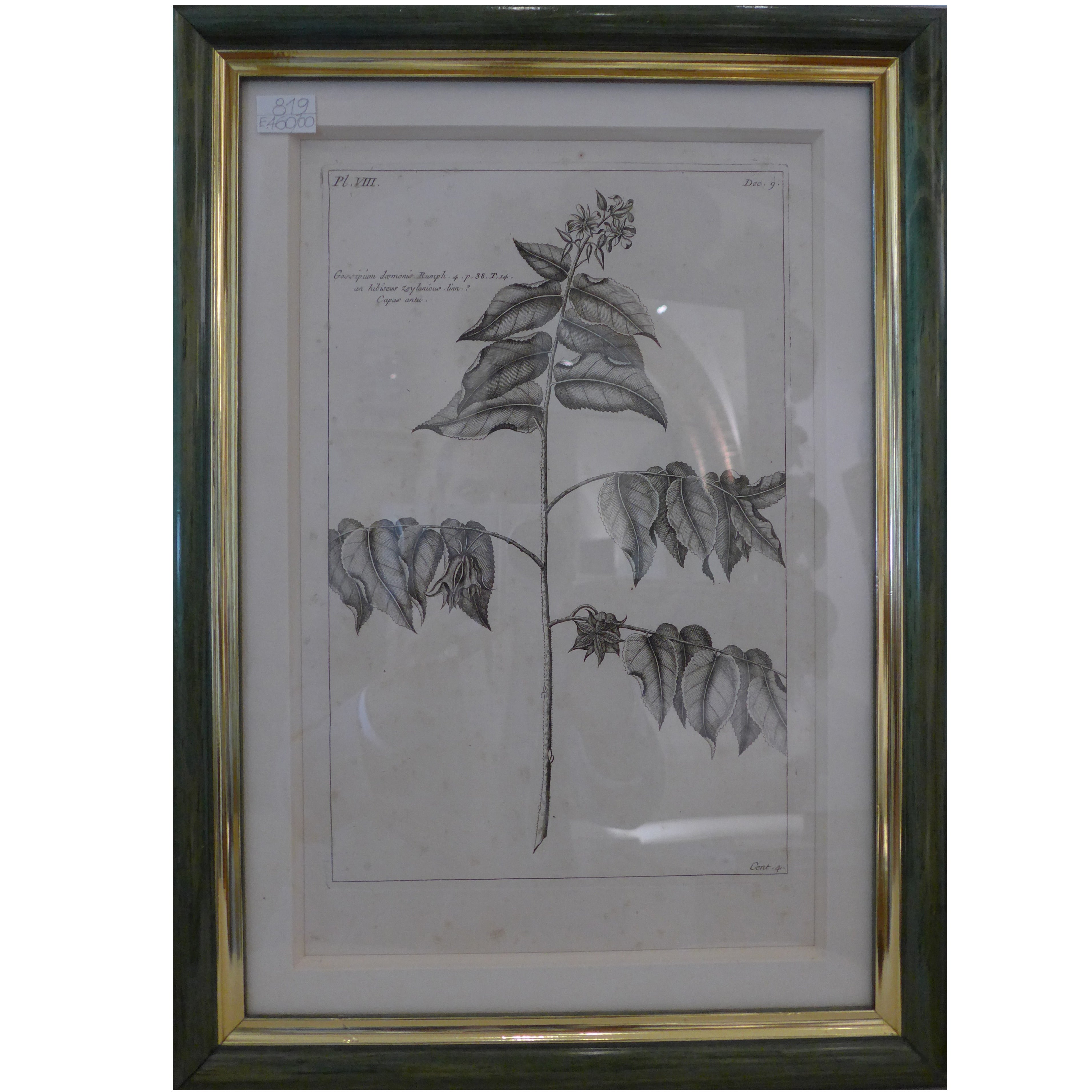 Set of Ten French Botanical Prints, 18th Century at 1stDibs
