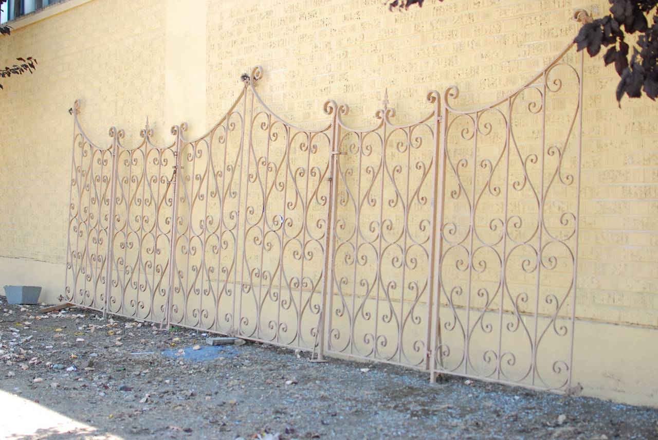 French Wrought Iron Garden Gate or Fence at 1stDibs