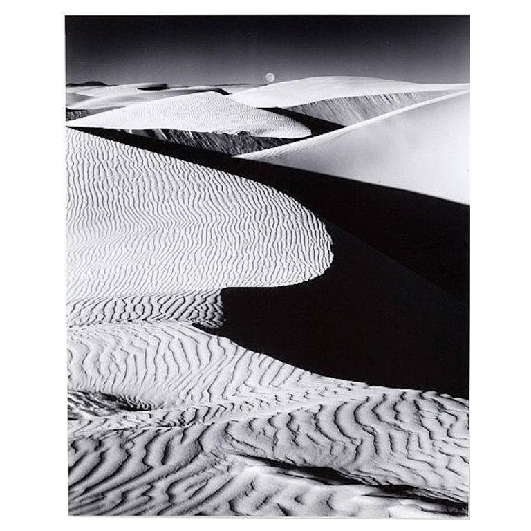 Robert Werling, 'Oceano Dune', Signed, 1990 For Sale at 1stDibs