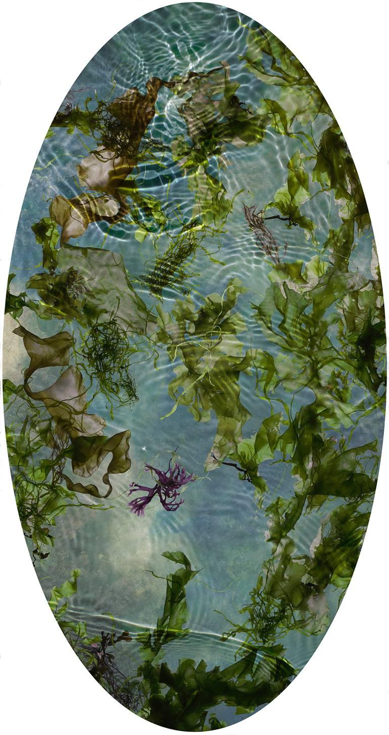 Susan Derges - Pool Tide No. 26 For Sale at 1stDibs