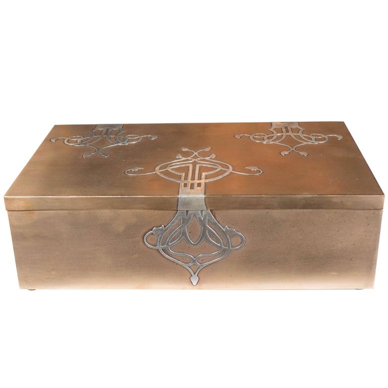 Gorgeous Aesthetic Movement Bronze Box with Sterling Silver Overlay by ...