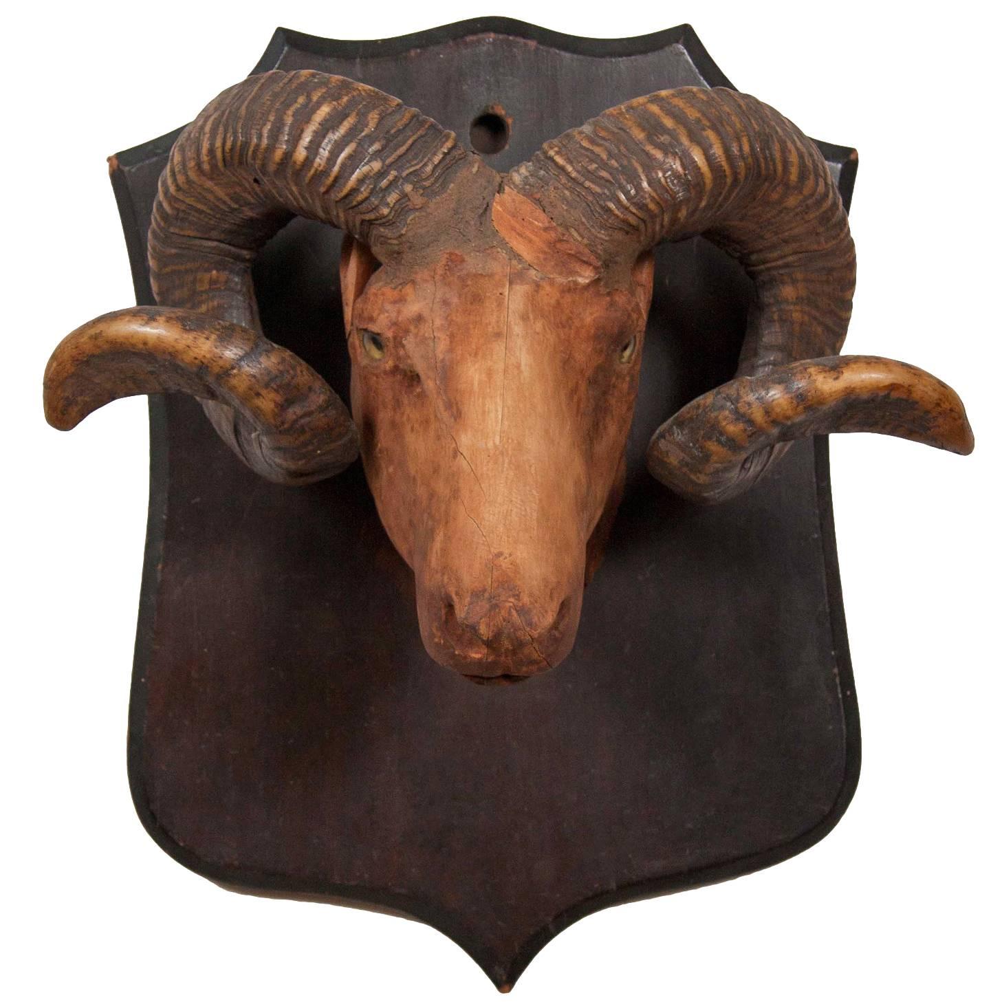 American Carved Wood Long Horn Sheep Trophy Mount at 1stDibs