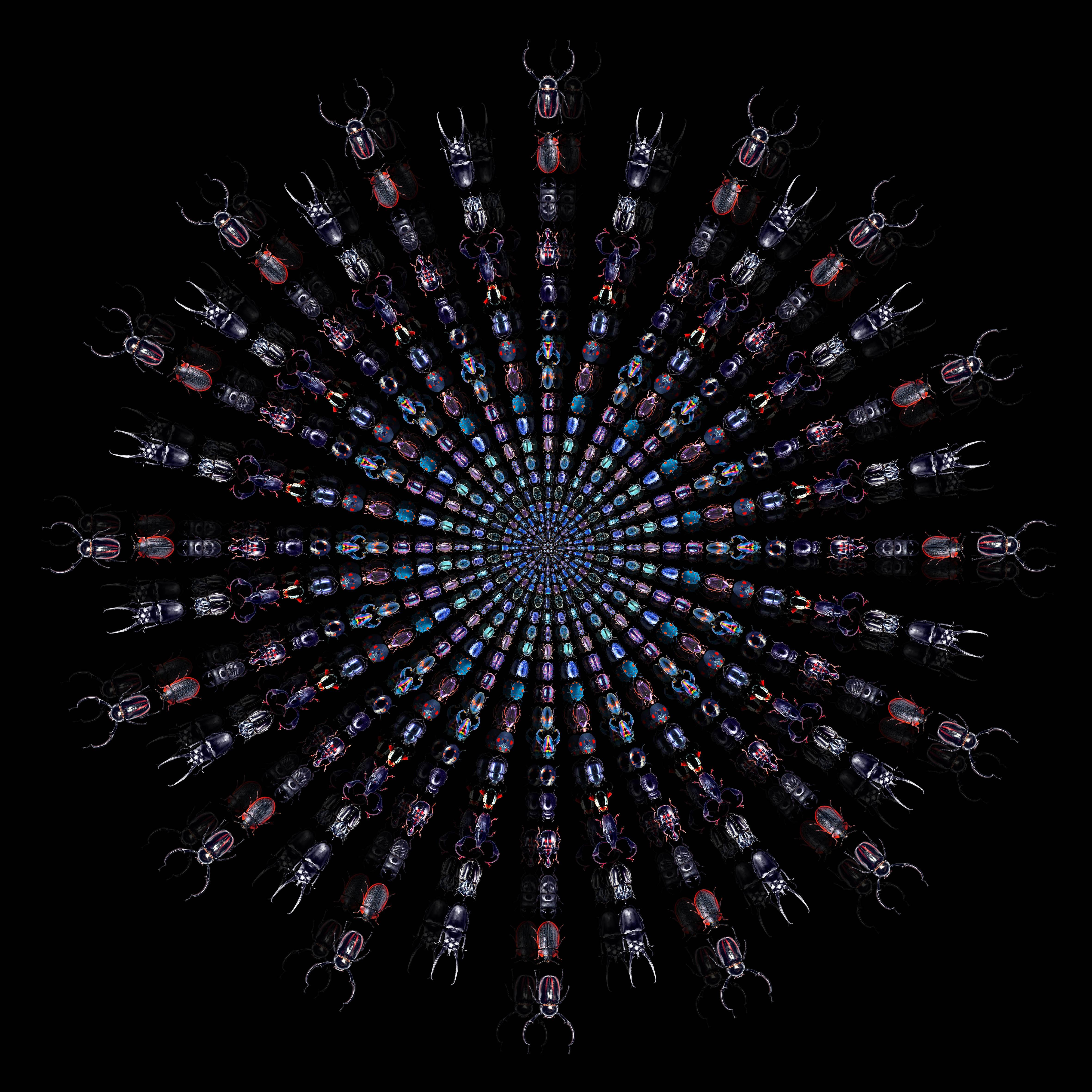 Hermes Bugs - 4 For Sale on 1stDibs