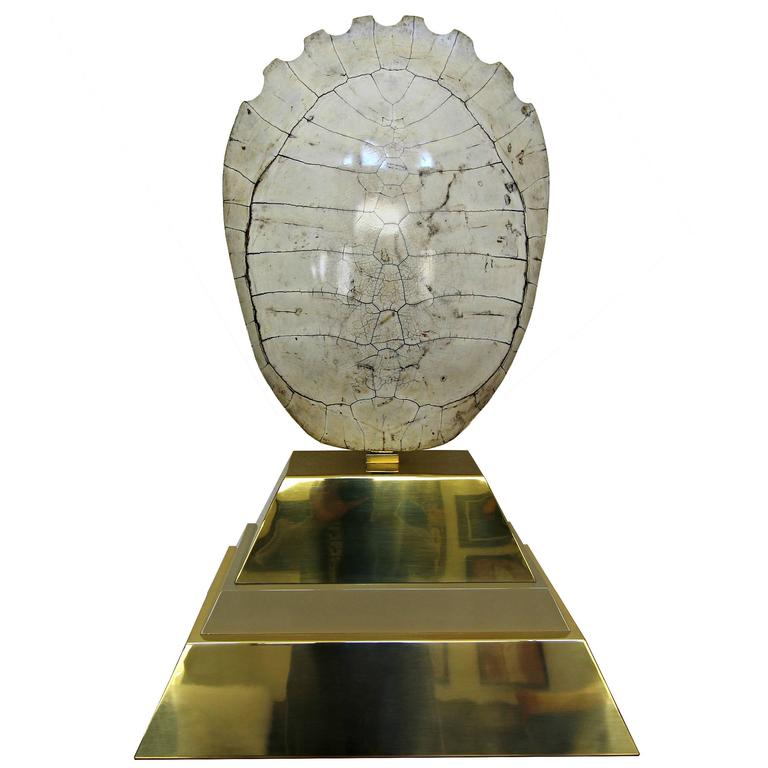 Monumental Polished and Mounted Genuine Tortoise Shell at 1stDibs
