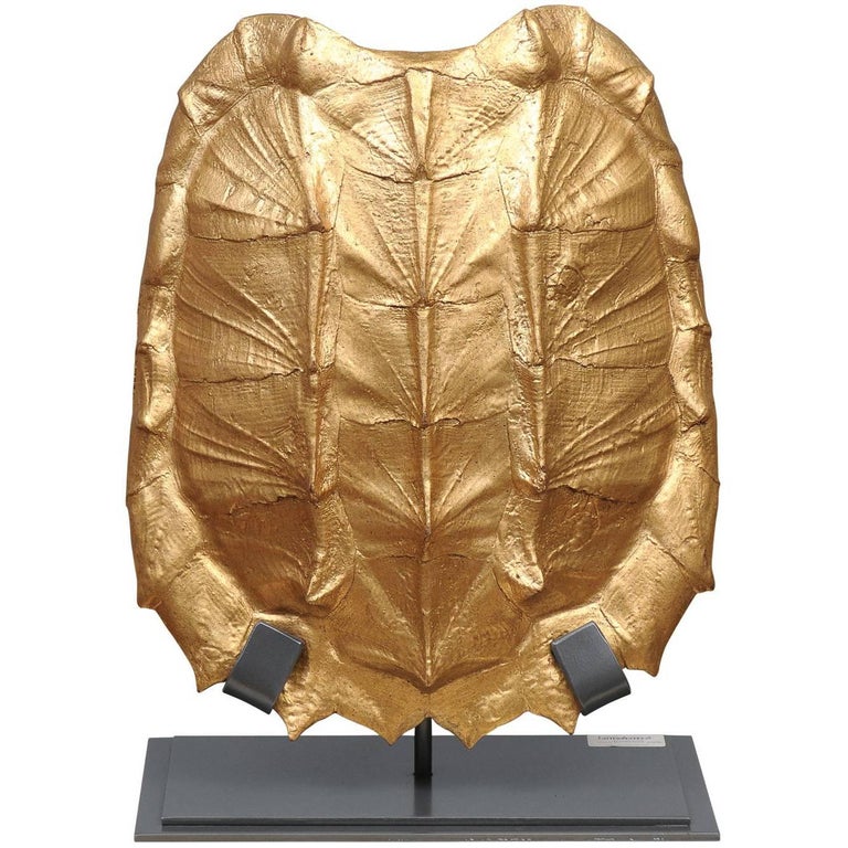 Large Faux Turtle Shell Mounted on a Chic Lucite Stand at 1stdibs