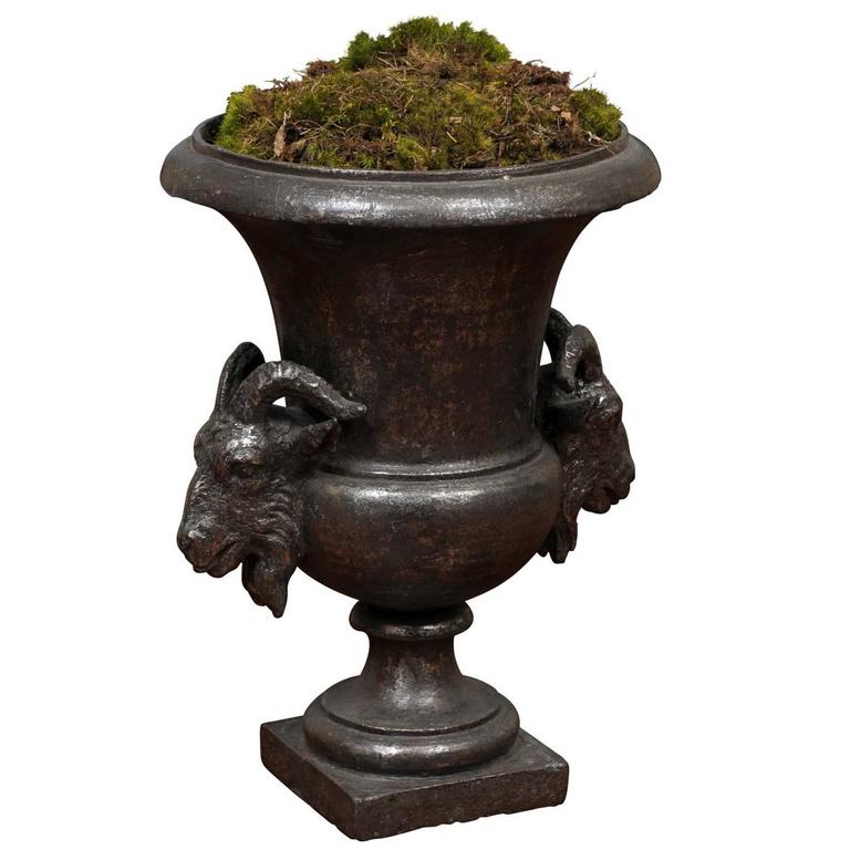 Metal Urn with Rams Head Detail at 1stDibs