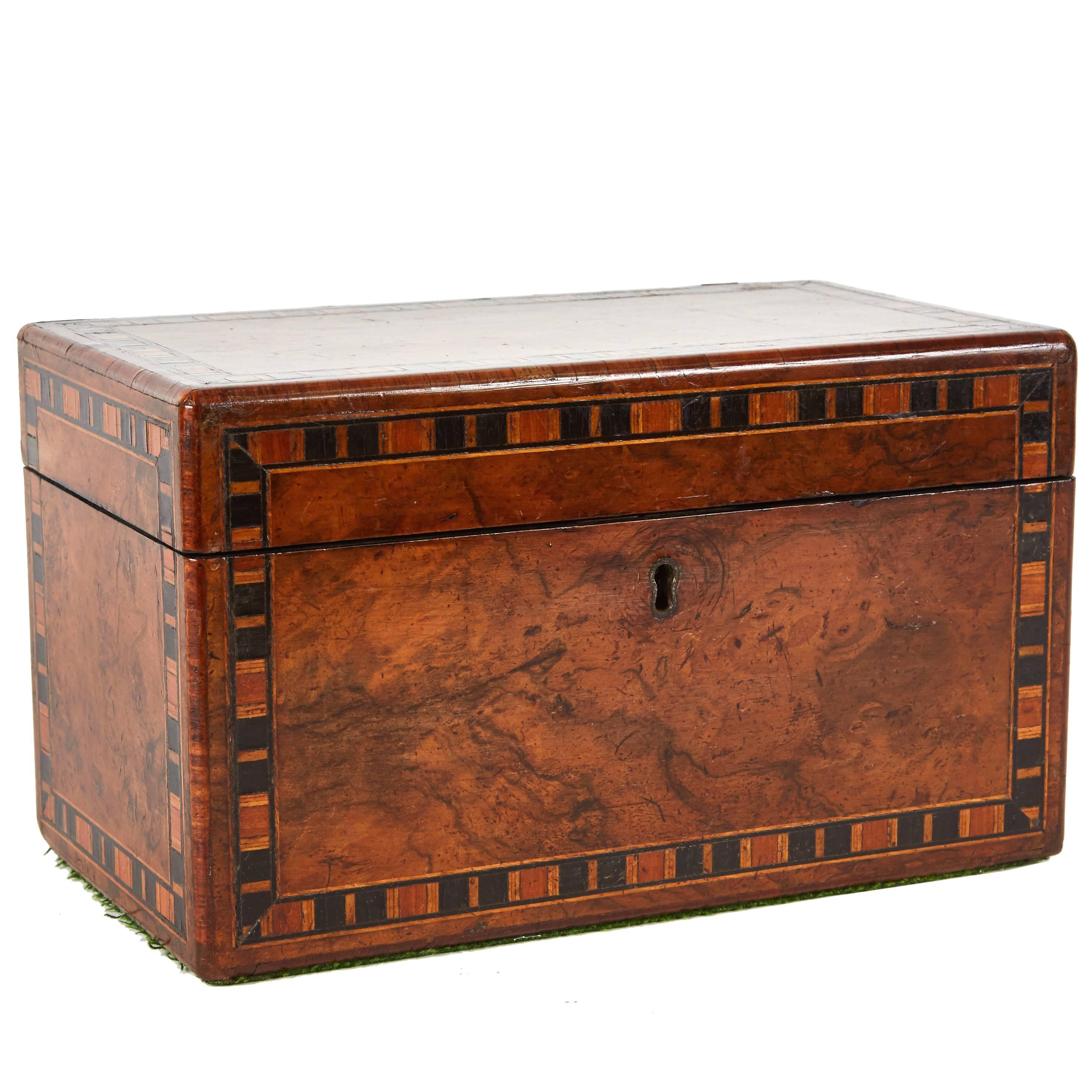 19th Century English Walnut Tea Caddy Box with Inlay at 1stDibs
